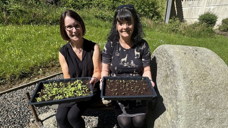Growing wild: Seeking seed sowers for project exploring food potential ...