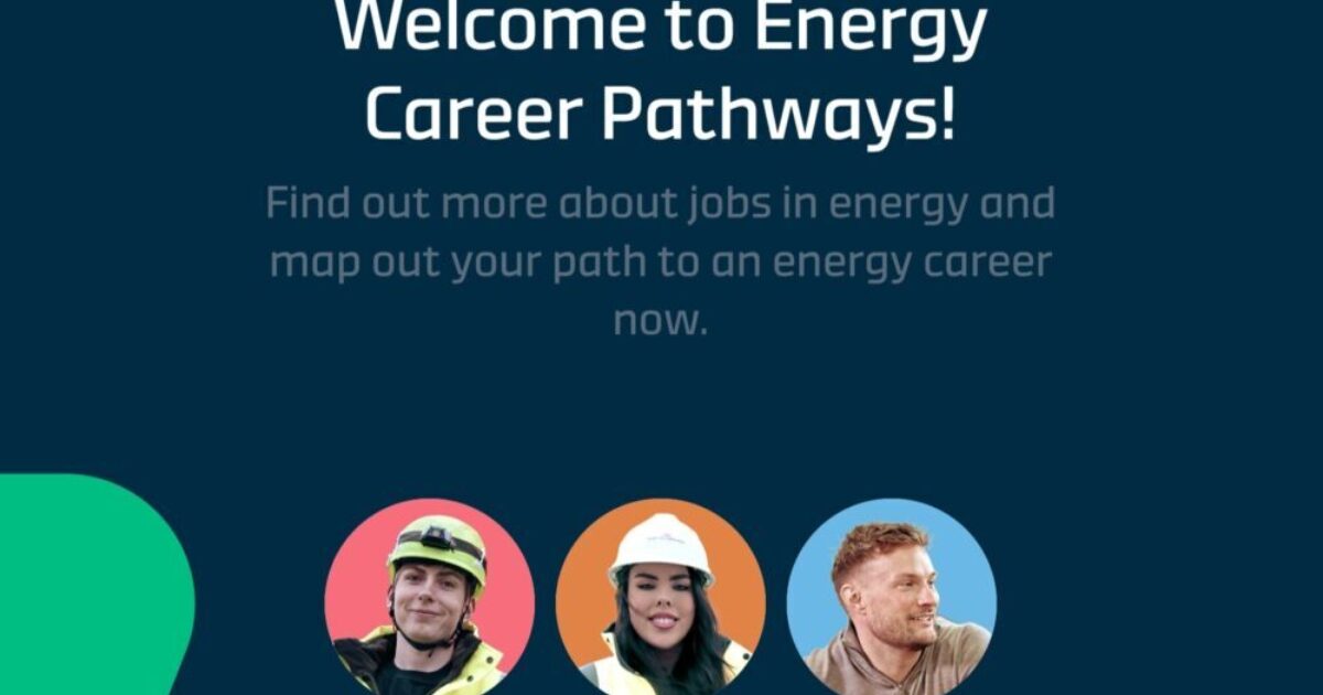 NESA is delighted to announce the launch of the pilot 'Energy Career Pathways' tool