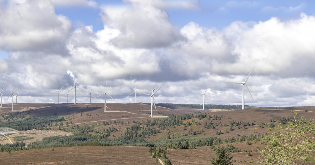 New information bolsters Aberdeenshire Wind Farm proposal