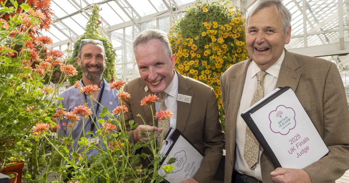 Britain in Bloom judges visit city