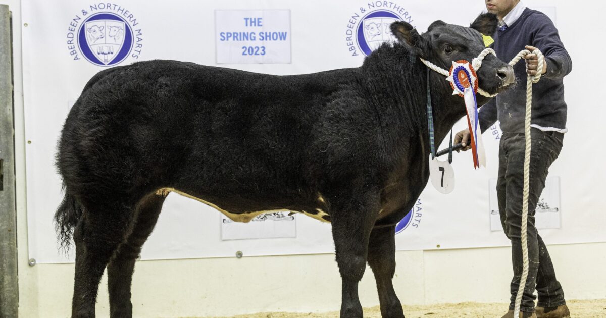 Final livestock entries confirmed ahead of annual RNAS Spring Show